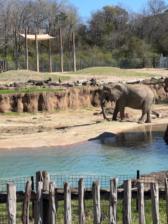 DALLAS ZOO - Updated October 2025 - 1928 Photos & 520 Reviews - 650 S R ...