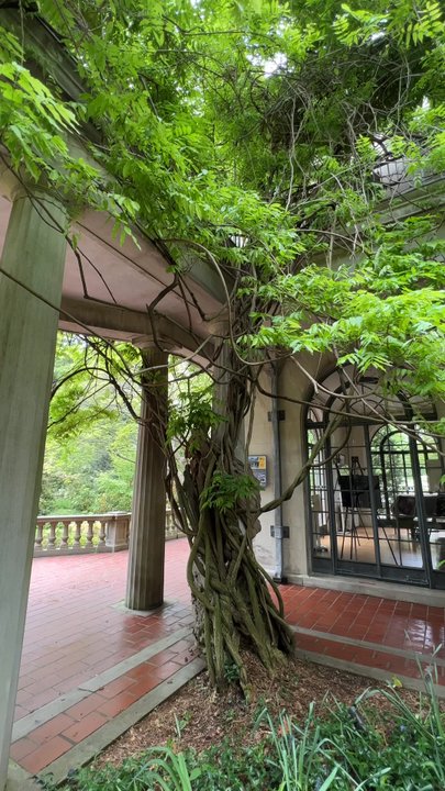 VAN VLECK HOUSE & GARDENS - Updated October 2025 - 360 Photos & 50 ...