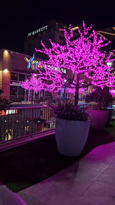 ANAHEIM GARDENWALK - Updated May 2026 - 1747 Photos & 632 Reviews - 400 ...