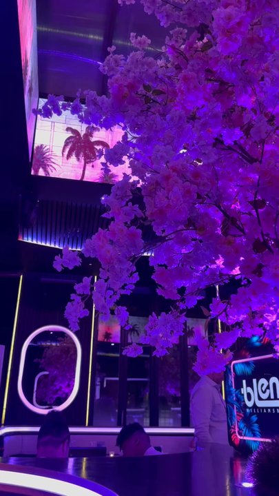 BLEND WILLIAMSBURG - Updated March 2025 - 527 Photos & 214 Reviews ...