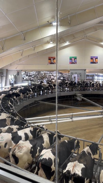 FAIR OAKS FARMS - Updated August 2025 - 662 Photos & 240 Reviews - 856 ...