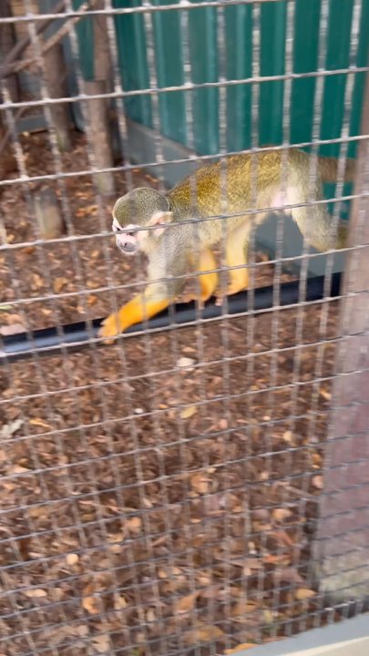 BEE CITY ZOO - Updated May 2026 - 440 Photos & 134 Reviews - 1066 Holly ...