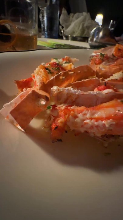 TRICK RIDER - Updated December 2025 - 218 Photos & 114 Reviews - 4341 ...