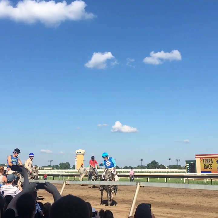 CANTERBURY PARK - Updated October 2025 - 141 Photos & 114 Reviews ...