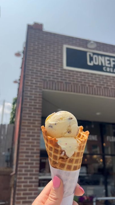 CONEFLOWER CREAMERY - Updated May 2025 - 588 Photos & 810 Reviews ...