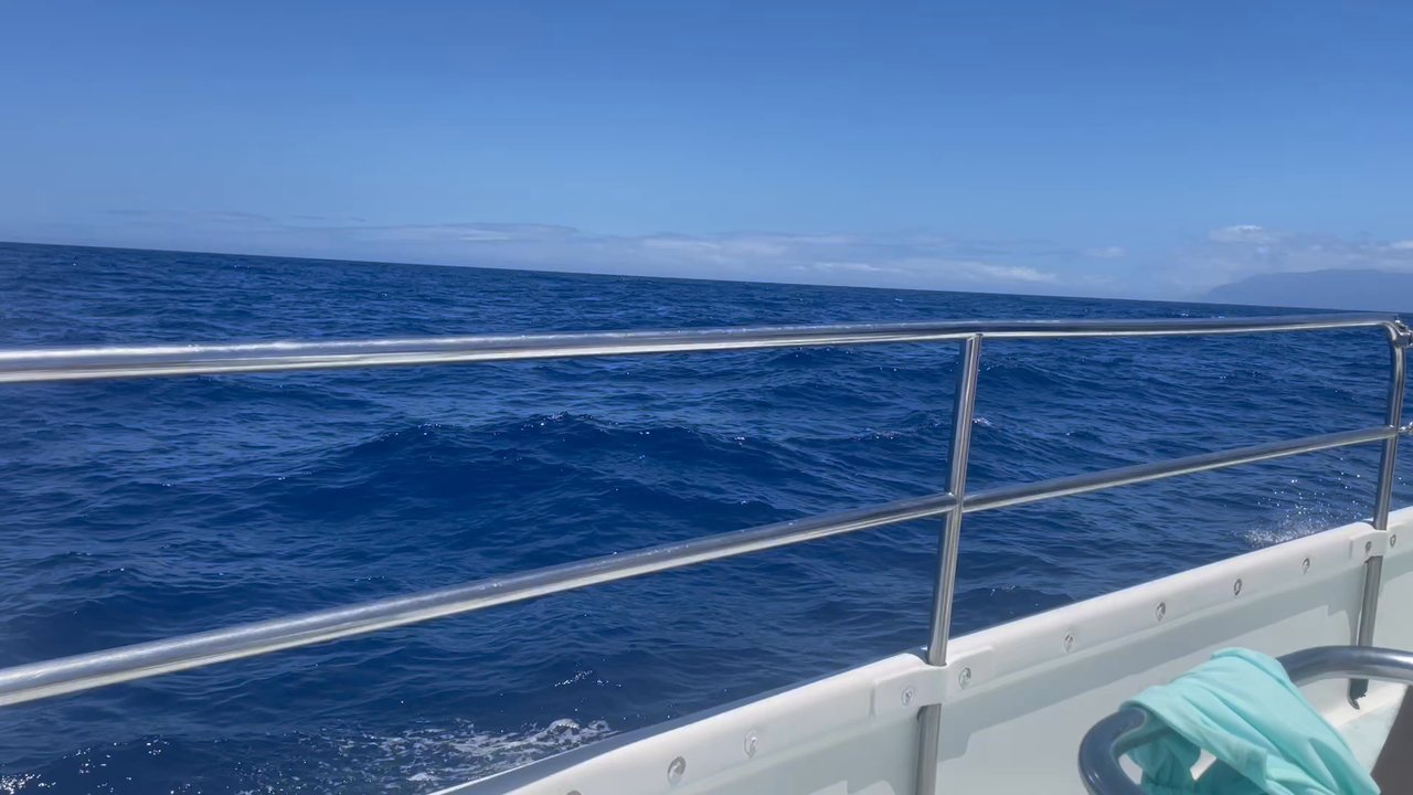 HOLO HOLO CHARTERS - Updated March 2025 - 996 Photos & 1097 Reviews - 4353 Waialo Rd, Eleele ...