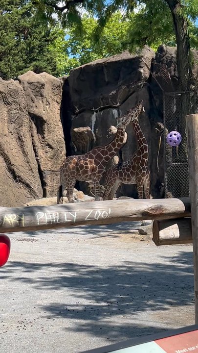 PHILADELPHIA ZOO - Updated January 2026 - 2048 Photos & 564 Real ...
