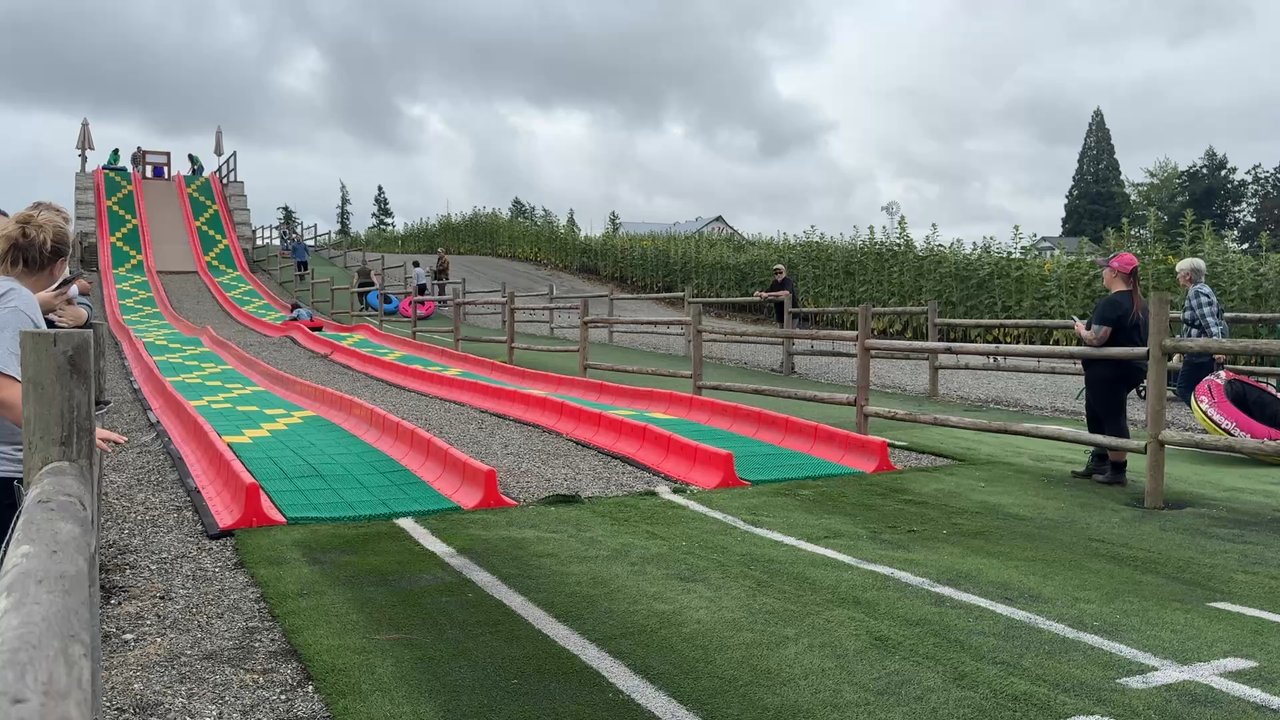 MARIS FARMS - Updated April 2026 - 564 Photos & 229 Reviews - 25001 ...