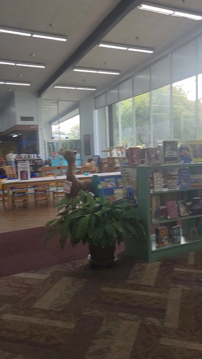 BUTTE COUNTY LIBRARY - Updated March 2026 - 18 Photos - 1820 Mitchell ...