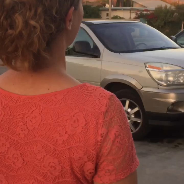 CITRUS MOTORS - Updated December 2025 - 200 Photos & 807 Reviews - 1375 ...