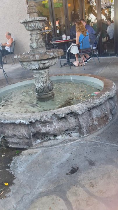 CAFFE BOA - Updated October 2025 - 180 Photos & 301 Reviews - 5063 E ...