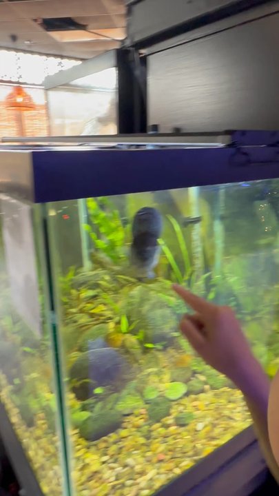 FLOATING SEA AQUATICS - Updated August 2025 - 268 Photos & 57 Reviews ...