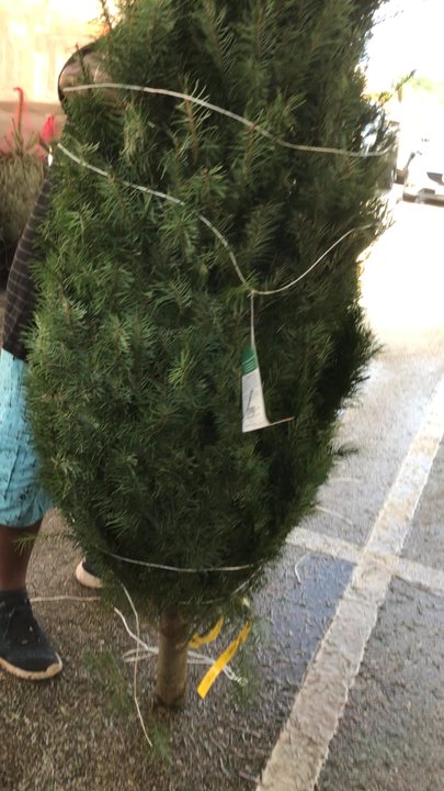 THE HOME DEPOT - Updated December 2025 - 50 Photos & 26 Reviews - 295 ...