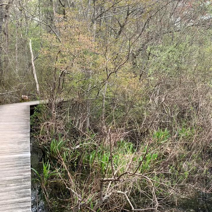 NORRIS RESERVATION - Updated July 2025 - 97 Photos - Dover St, Norwell ...