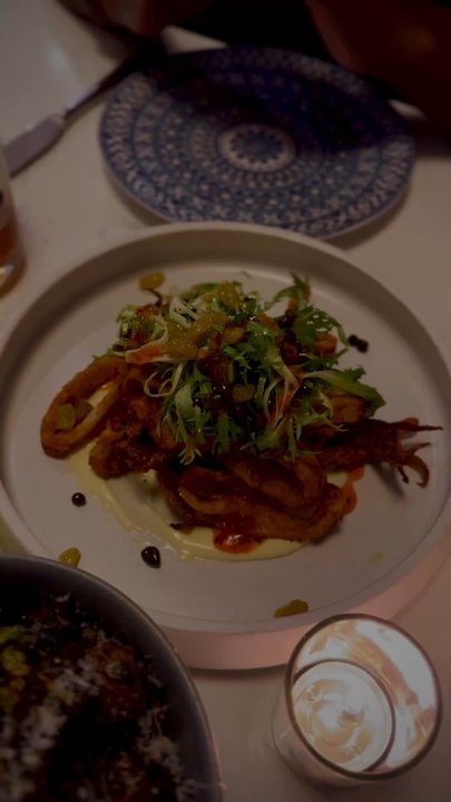 IL FALÒ - Updated December 2025 - 151 Photos & 123 Reviews - 3931 Macaw ...