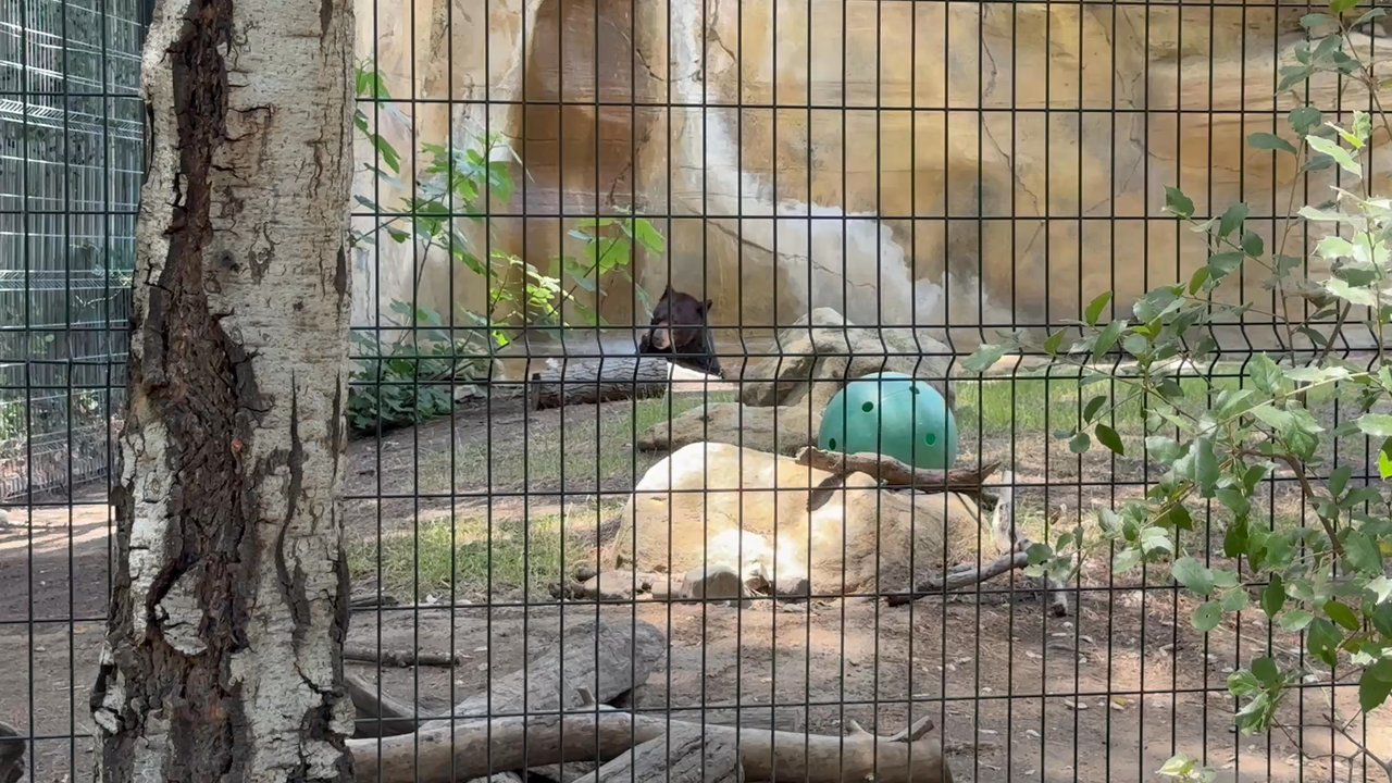 OC ZOO IRVINE REGIONAL PARK - Updated January 2026 - 134 Photos & 46 ...