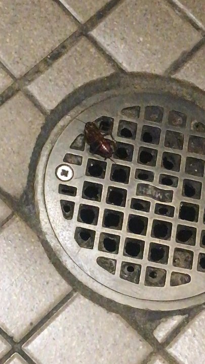 TULLY COMMUNITY BRANCH LIBRARY - Updated November 2025 - 30 Reviews ...