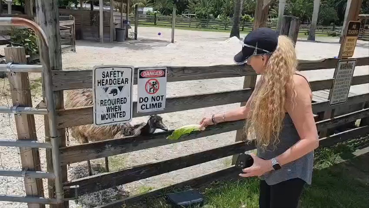 MARANDO FARMS & RANCH - Updated November 2025 - 375 Photos & 127 ...