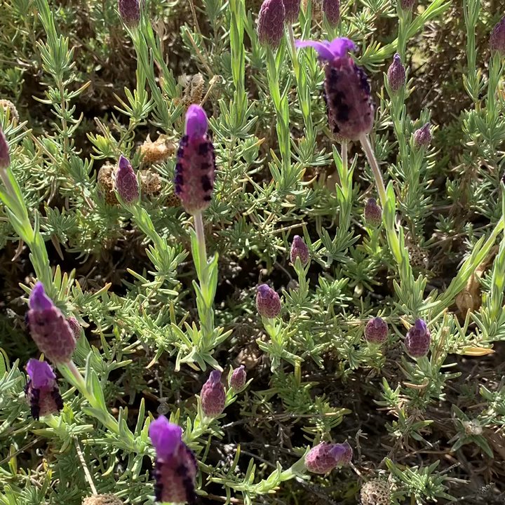 RED RIDGE PARK - Updated March 2025 - 507 Photos & 62 Reviews - 9135 W ...