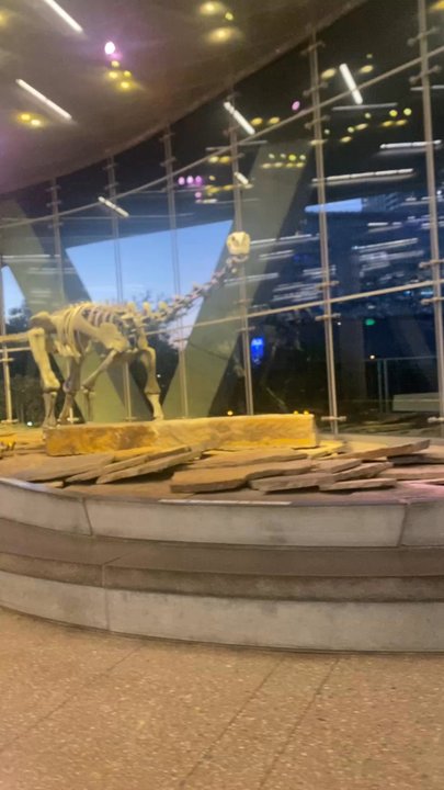 PEROT MUSEUM OF NATURE AND SCIENCE - Updated March 2025 - 2425 Photos ...