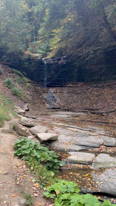 FALL RUN PARK - Updated May 2026 - 123 Photos & 29 Reviews - 187 Falls ...