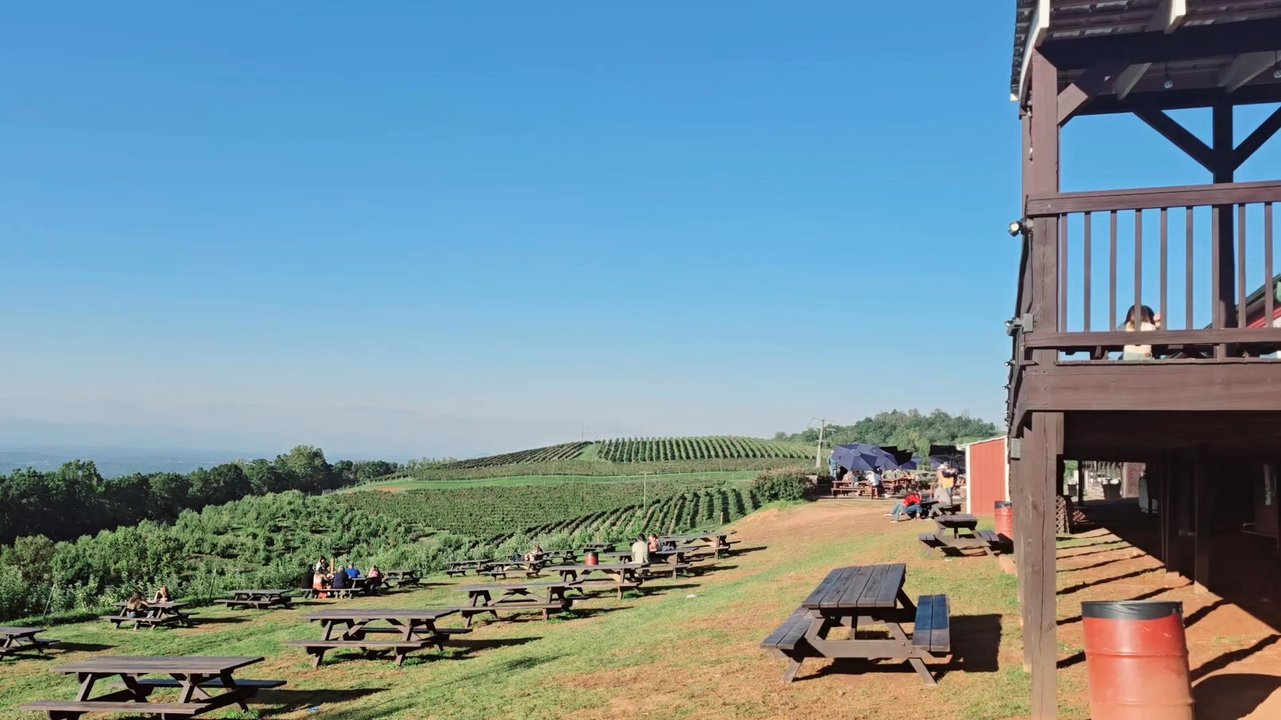 CARTER MOUNTAIN ORCHARD - Updated July 2025 - 1450 Photos & 492 Reviews ...