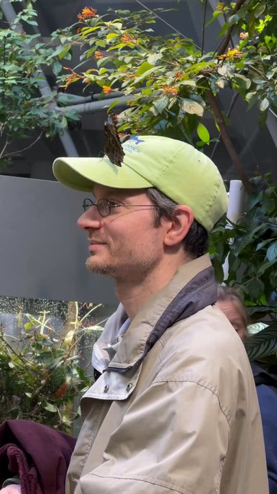 CALIFORNIA ACADEMY OF SCIENCES - Updated March 2025 - 11240 Photos ...