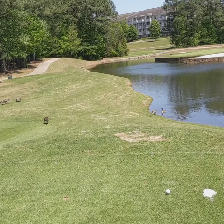 BRIDGEMILL ATHLETIC CLUB - Updated December 2025 - 249 Photos & 21 ...