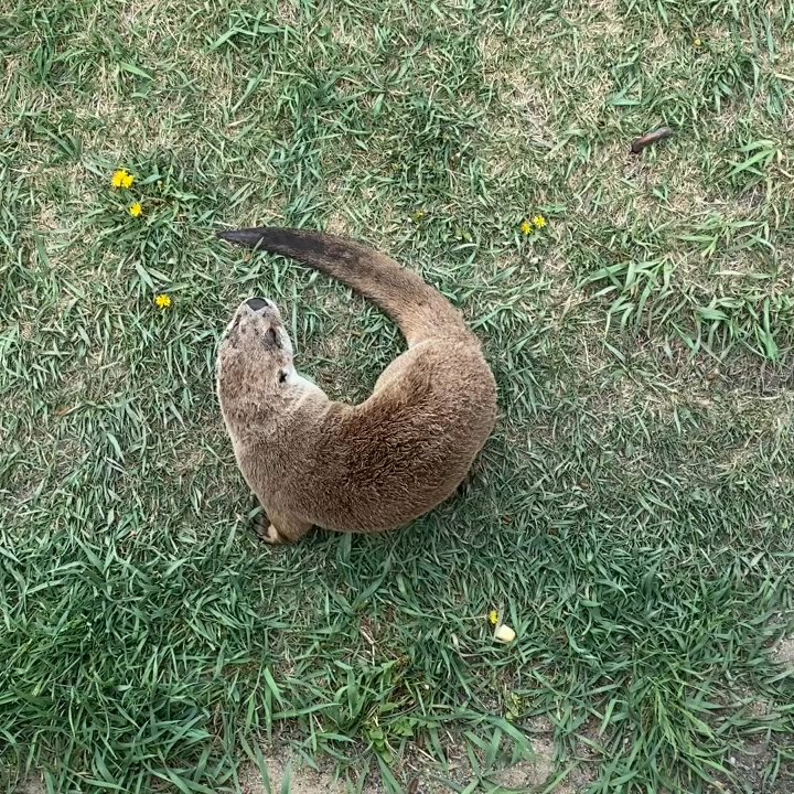 RED RIVER ZOO - Updated December 2025 - 183 Photos & 39 Reviews - 4255 ...