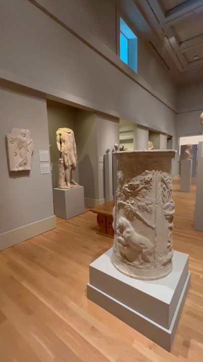 MICHAEL C CARLOS MUSEUM OF EMORY UNIVERSITY - Updated November 2025 ...