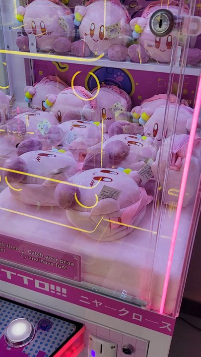 MEOW CLAW - Updated January 2026 - 55 Photos & 51 Reviews - 1701 ...