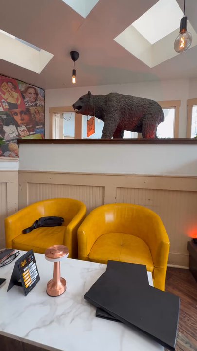 STATE SOCIAL HOUSE - Updated June 2026 - 497 Photos & 517 Reviews ...