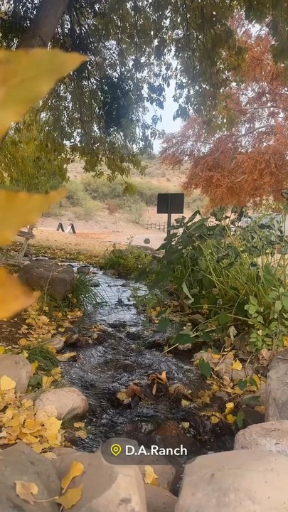 DA RANCH - Updated May 2025 - 288 Photos & 129 Reviews - 1901 N Dancing ...