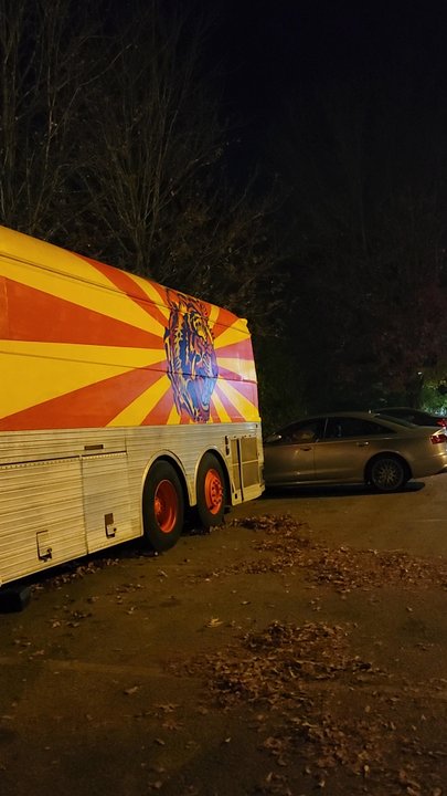 TIGER SUN - Updated October 2025 - 41 Photos & 15 Reviews - 904 ...