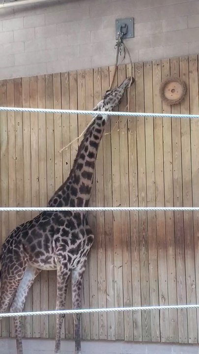 ROGER WILLIAMS PARK ZOO - Updated October 2025 - 1377 Photos & 313 ...