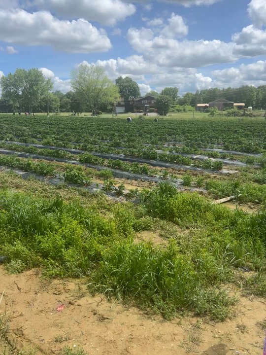 MILLER FARMS - Updated January 2026 - 313 Photos & 235 Reviews - 10140 ...