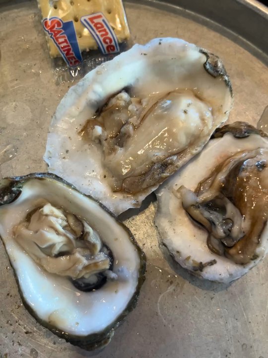TAILFINS WATERFRONT GRILL - Updated March 2025 - 389 Photos & 435 ...