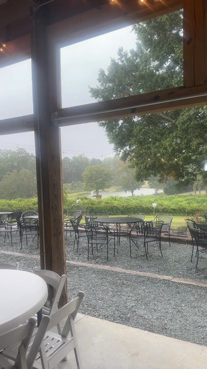 TREEHOUSE VINEYARDS - Updated May 2026 - 441 Photos & 212 Reviews - 301 ...