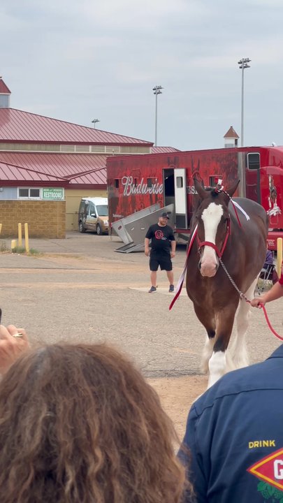 CANTERBURY PARK - Updated October 2025 - 141 Photos & 114 Reviews ...