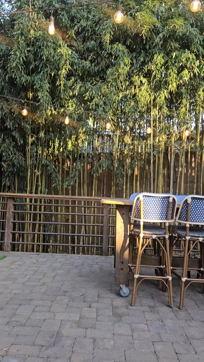 THE GOODYEAR HOUSE - Updated March 2026 - 1114 Photos & 472 Reviews ...