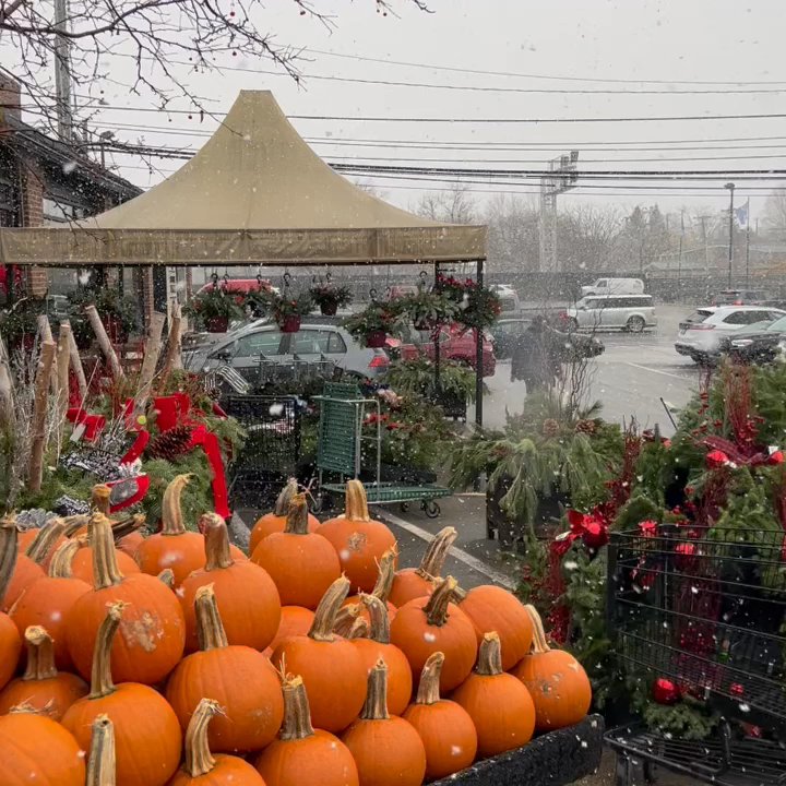 WESTBORN MARKET - Updated January 2026 - 157 Photos & 120 Reviews ...