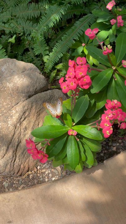 ARIZONA BOARDWALK - Updated December 2025 - 142 Photos & 40 Reviews ...