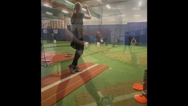 Softball Transfer portal announcements | FieldLevel