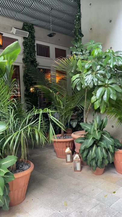 CONTESSA MIAMI - Updated December 2025 - 709 Photos & 258 Reviews - 151 ...