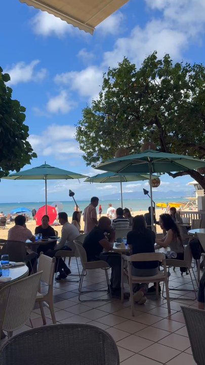 HAU TREE - Updated February 2025 - 2622 Photos & 819 Reviews - 2863 ...