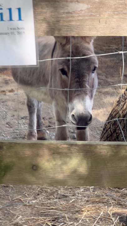 SMILING HILL FARM - Updated September 2025 - 177 Photos & 69 Reviews ...