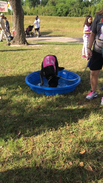 TC JESTER PARK - Updated December 2025 - 120 Photos & 79 Reviews - 4201 ...