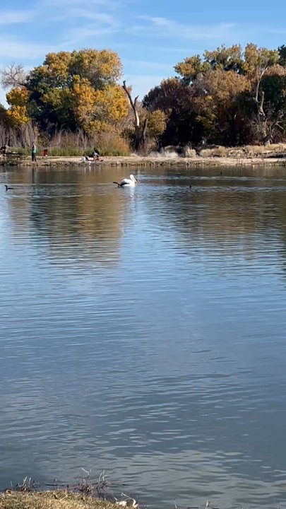 MOJAVE NARROWS REGIONAL PARK - Updated June 2026 - 138 Photos & 81 ...