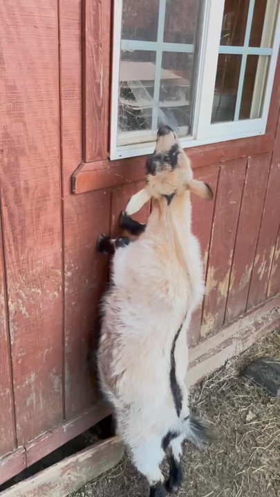 LONGSHADOW RANCH VINEYARD AND WINERY - Updated July 2025 - 678 Photos ...