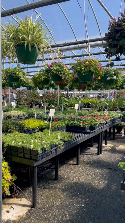 WILSON’S NURSERY & GARDEN CENTER - Updated June 2026 - 29 Photos & 34 ...